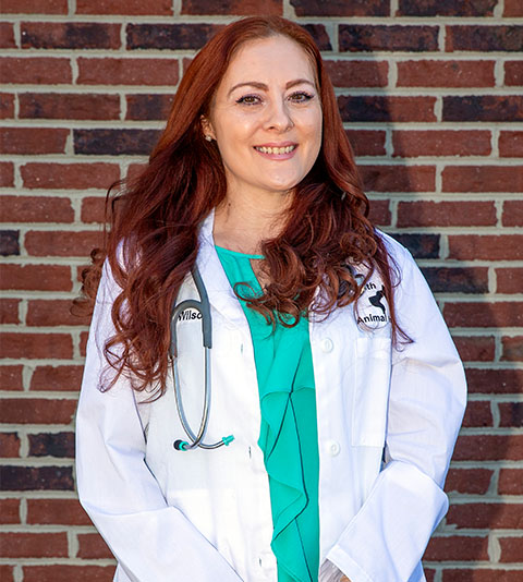 About Us - Salisbury Animal Hospital